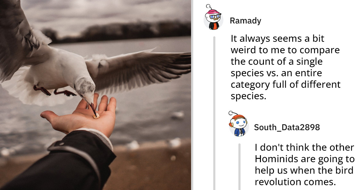Redditor’s Post About Bird Population and a 50/1 Bird-to-Human Ratio ...