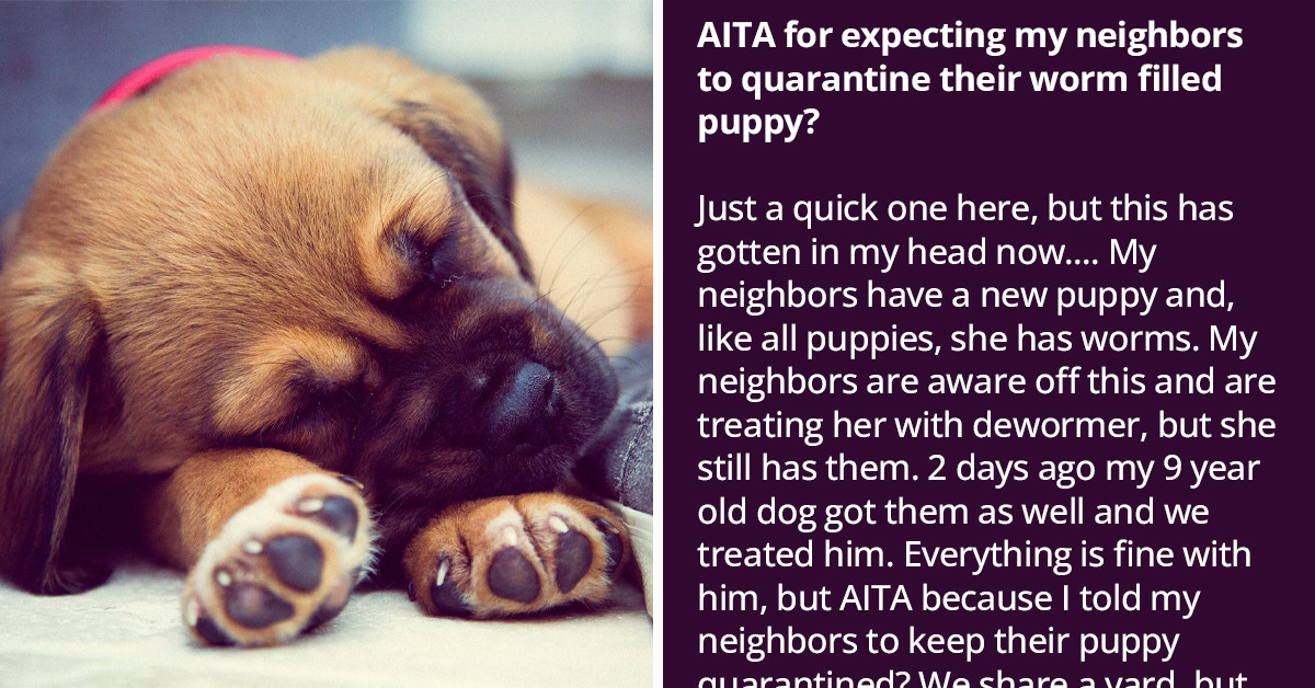 Redditors Asks Neighbor To Keep Her Worm-Filled Puppy Quarantined ...