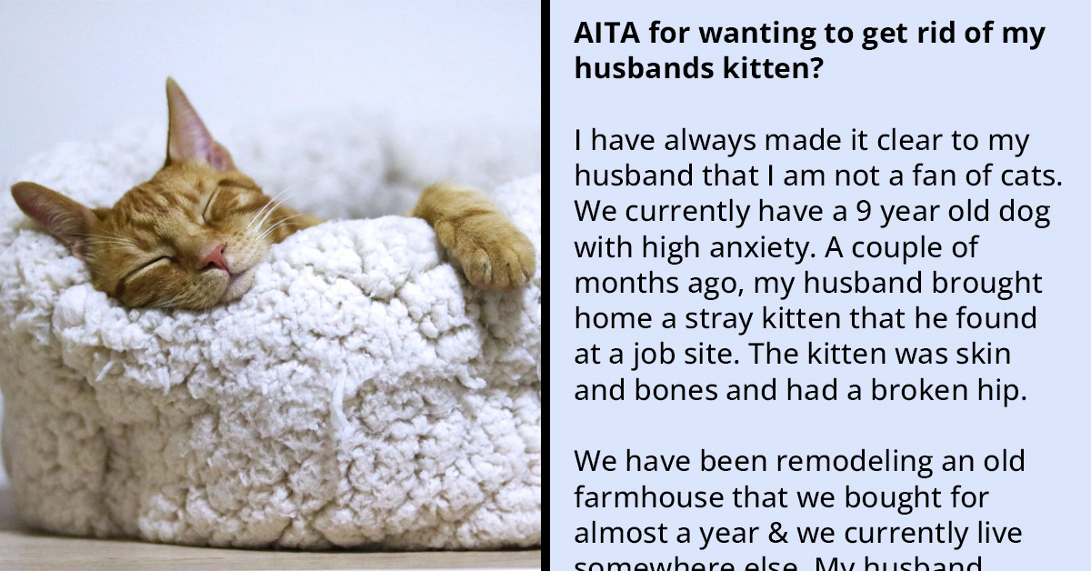 Redditor Wants To Get Rid Of Sick Kitten But Her Husband Refuses