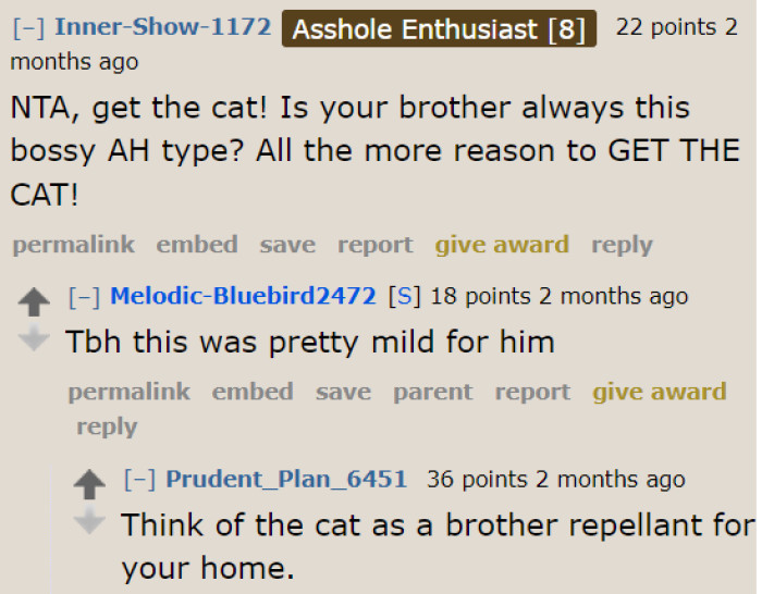 Allergic Brother Feels Entitled to Oppose Sister's Decision to Adopt a ...