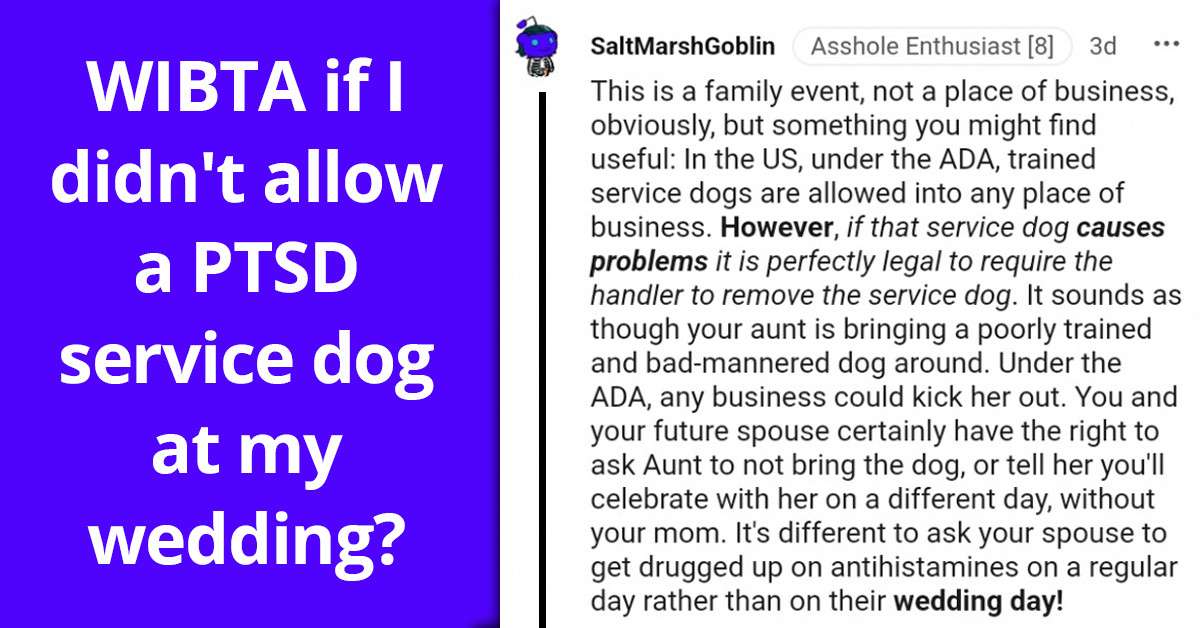 Bride Rejects Aunt’s Untrained PTSD Service Dog at Wedding