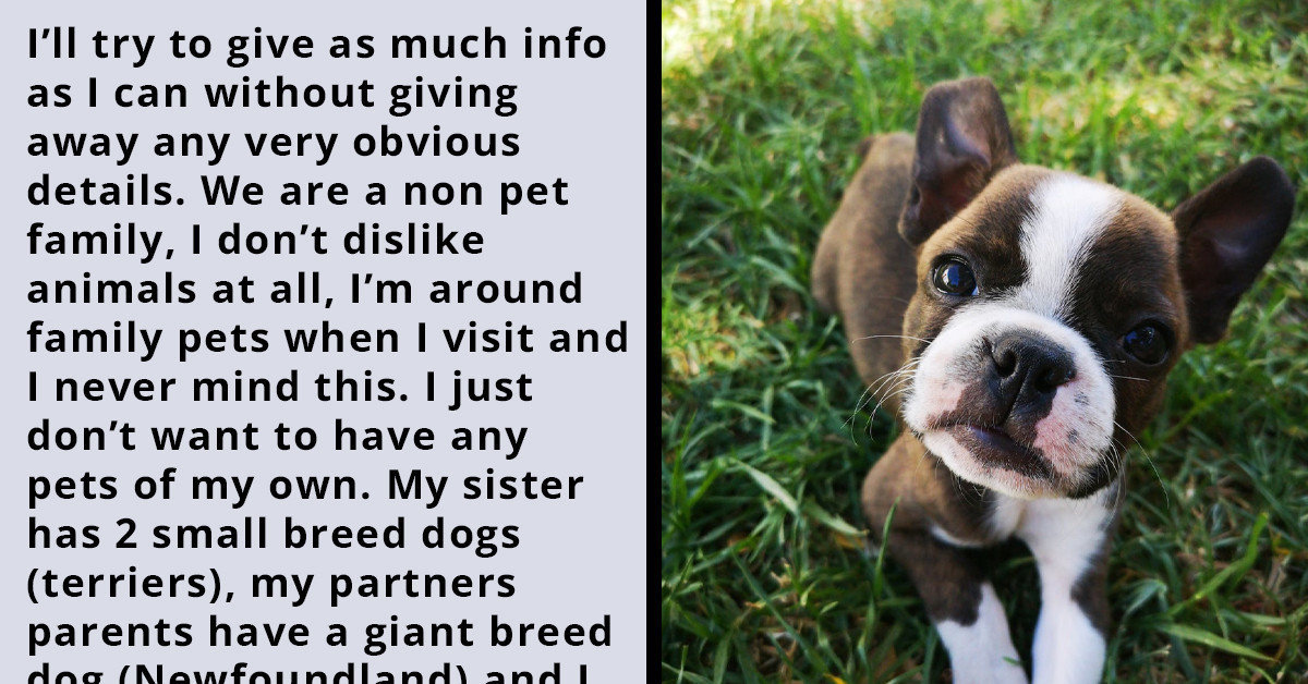 Couple Doesn't Want Dogs In Their Home, But Family Insists On Bringing ...