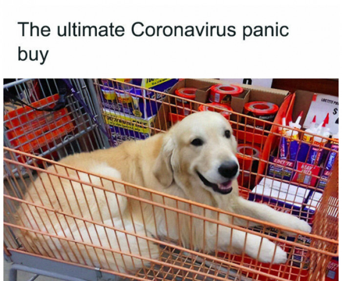 50 Hilarious And Heartwarming Posts That Prove Why Dogs Are The ...