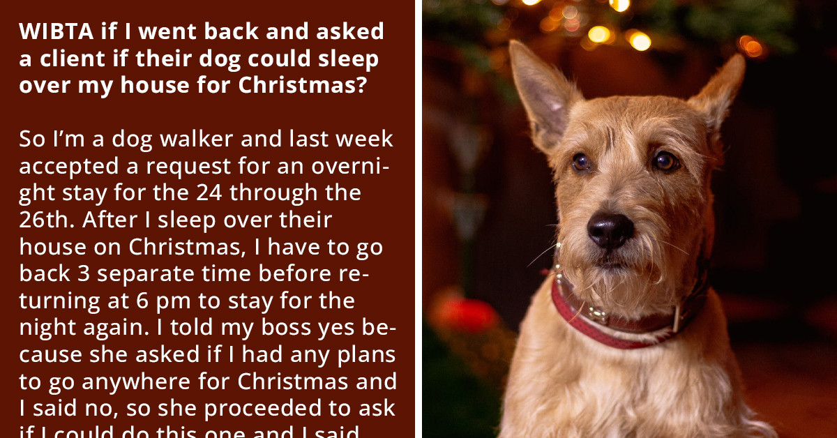 Dog Walker Supposed to Stay Overnight at Client's Home, Wants to Take the Dog to His Home