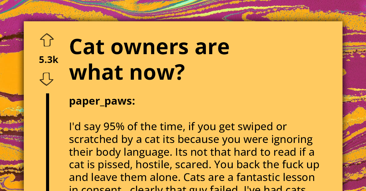 Random Facebook User Makes Wild, Sweeping Claims About Cats And Their ...