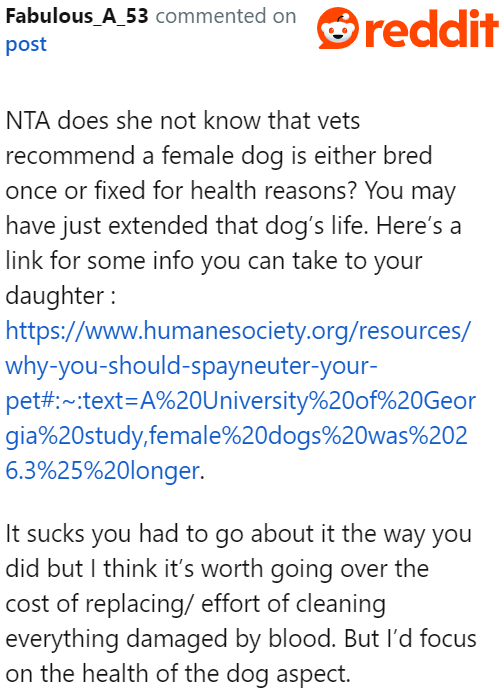 Mother's Secret Decision to Fix Daughter's Dog Spirals into Emotional ...