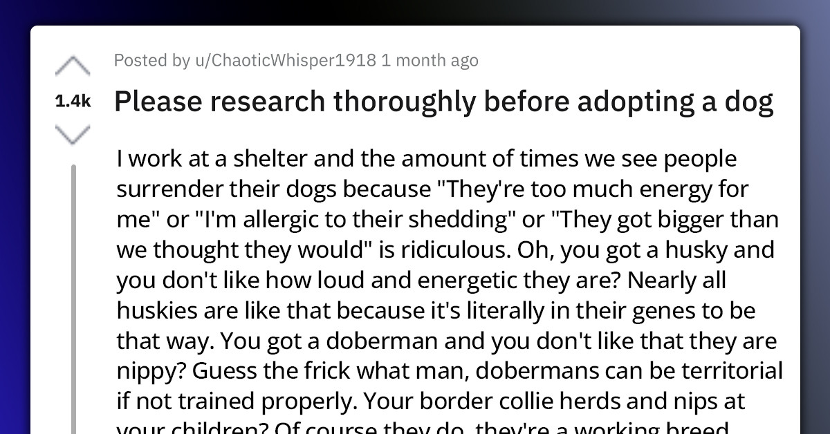 Redditor Pleads for Dog Adopters to Research Before Rehoming
