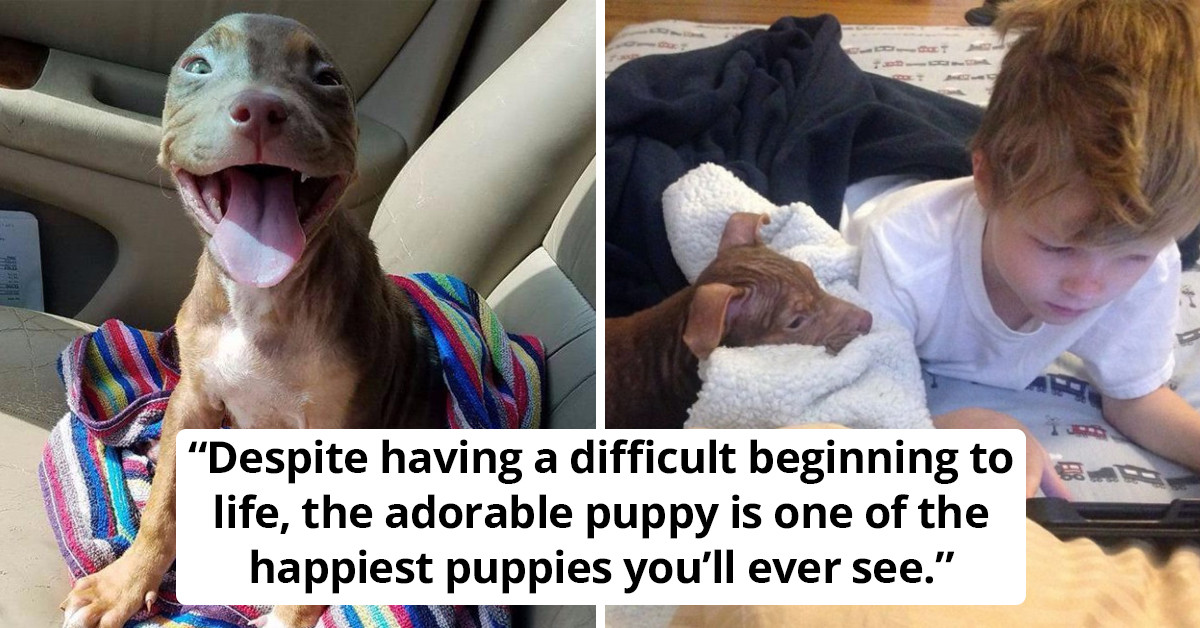 Rescue Puppy, Matilda, Can’t Hide Her Joy As She Finally Leaves The Shelter