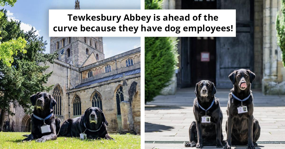 900-Year-Old Tewkesbury Abbey Hires Dogs Eric And Flo