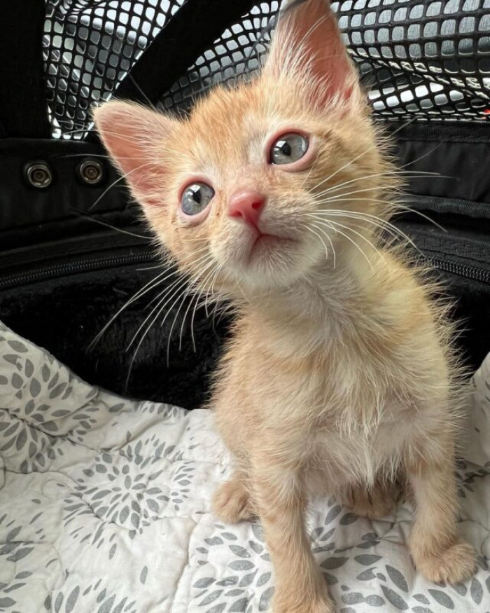 Not Sisters By Birth, But Sisters By Heart -Two Adorable Cuddle-Bug ...