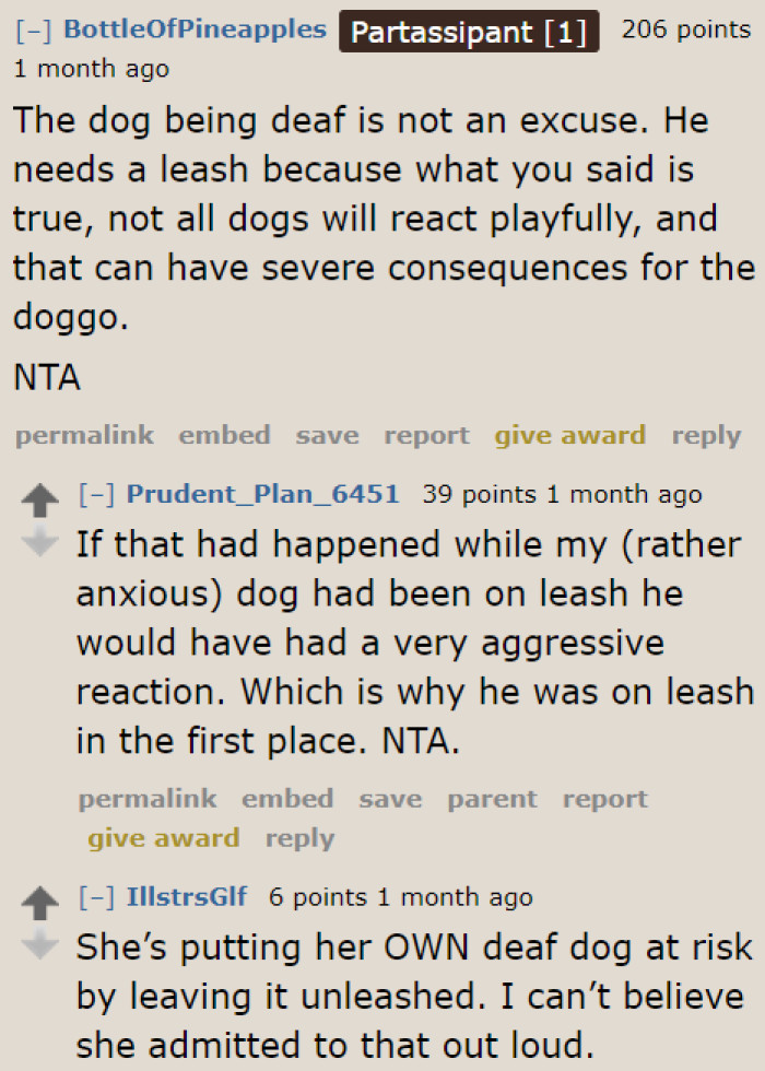 Woman Walking Her Dog Encounters Irresponsible Dog Owner Who Unleashed ...