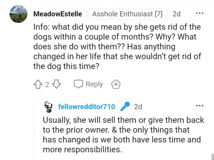 Redditor Gets Online Support For Refusing To Take Responsibility Of Getting A Dog His GF Wants