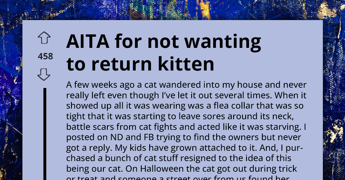 Cat Lover Doesn't Want To Return Poor Animal To Owners Who Didn't Even ...