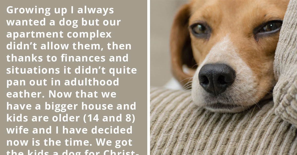 Father Insists On Keeping New Dog Daughter Hates