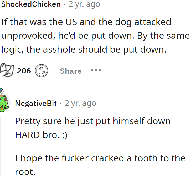 Man Attempts To Kick Harmless Doggo, Fails Miserably As He Lands On The ...