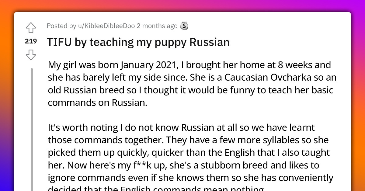 Woman Regrets Teaching Her Dog Russian Commands, Worries About Ukra...