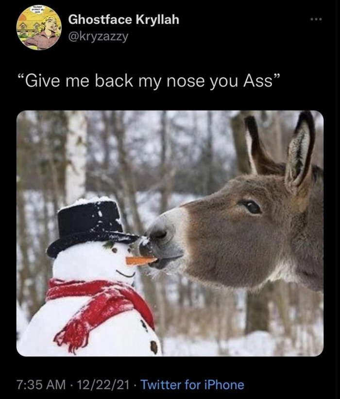 Mid-Week Animal Memes That Can Cure Your Soul