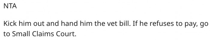 Sister Wants To Kick Brother Out For Putting Her Dogs In Danger