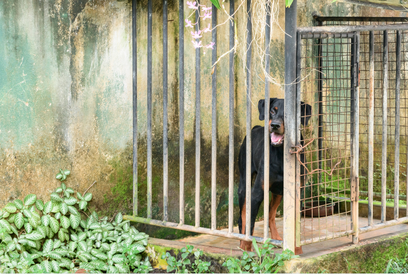 Concerned Woman Asks Advice From Online Community About What She Can Do ...